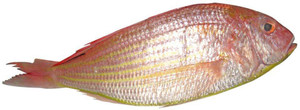 Big MeatMart sea Pink Perch/Red Fish (Cleaned) Whole Price in India ...