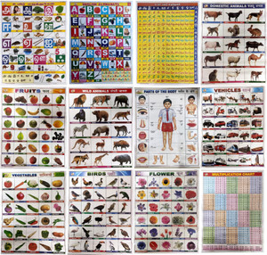 New Wall Charts Lamination Combo 12: Buy New Wall Charts Lamination ...