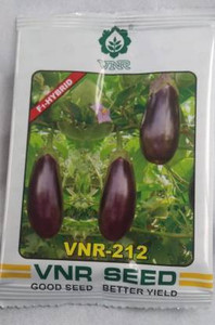 Go Green VNR BRINJAL Seed (2000 per packet) Seed Price in India - Buy ...