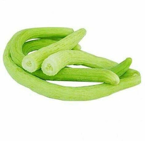 Greenry Kakdi Cucumber Seeds-SD-200-F4 Seed Price in India - Buy ...