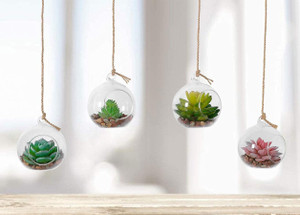 Virya Crystal Clear Hanging Glass Planters for Indoor and Outdoor ...