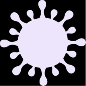 TO-HIT Sticker & Decal for Car & Bike Price in India - Buy TO-HIT ...