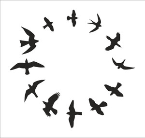 Kanha Enterprises 96 cm beautiful black birds flying in circle abstract ...
