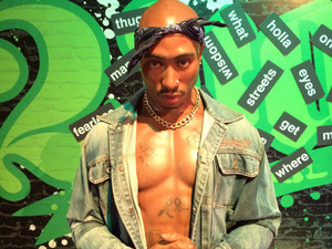 Tupac Shakur American Rapper Matte Finish Poster Paper Print ...