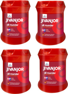 Jivanjor All Rounder - Multi-purpose Wood Adhesive with Hybrid ...