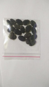 EVY Tori Seed Seed Price in India - Buy EVY Tori Seed Seed online at ...