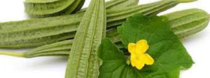 ORETIC Tori Seed Seed Price in India - Buy ORETIC Tori Seed Seed online ...