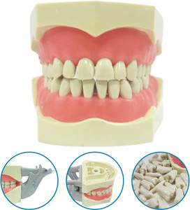 Unique Dents Columbia Type Jaw Set Model Surgical Plier Price in India ...