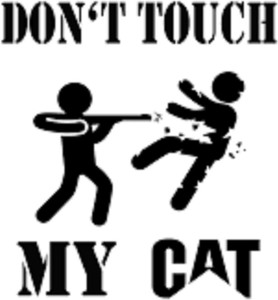 TO-HIT Sticker & Decal for Car & Bike Price in India - Buy TO-HIT ...