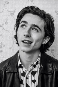 Timothée Chalamet Matte Finish Poster Paper Print - Personalities ...