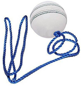 sports trading Cricket Hanging Ball for Practice and Bat Knocking with ...