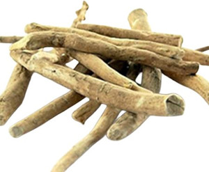 Nutrixia food arand mool,erand mool,castor root,arandi jadd Seed Price ...