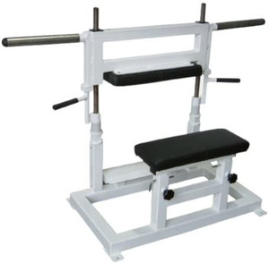 KANG Seated Leg Raise Machine with Plate Bearing Loaded Arms ...