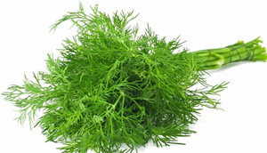 Aywal Dil Soya Saag vegetable Seed Price in India - Buy Aywal Dil Soya ...