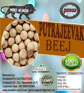PMW Putrajeevak Seeds - Putra jeevak Beej - 100 Grams Seed Price in ...