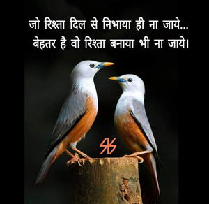 Hindi Funny Quotes Poster Sticker (self adhesive) Poster 12 inch X 18 ...