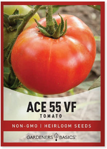 Cera Wares Tomato Seed Price in India - Buy Cera Wares Tomato Seed ...