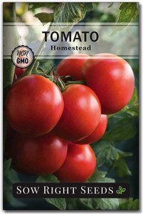 Cera Wares Tamatar Seed Price in India - Buy Cera Wares Tamatar Seed ...