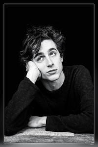 Timothee Chalamet Tim Timmy Matte Finish Poster Paper Print - Animation ...