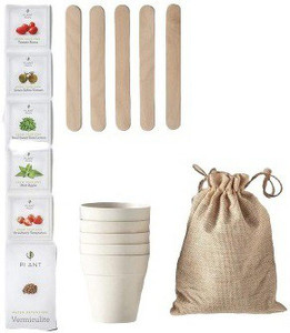 Quinergys LXI-233-Grow Cocktail Garden Kit Seed Price in India - Buy ...