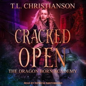 Cracked Open: Buy Cracked Open by Christianson T L at Low Price in ...