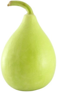 Recron Seeds Bottle Gourd Round Dudhi Seed Price in India - Buy Recron ...