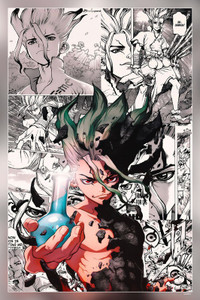 Dr Stone Senku Anime Dr Stone Matte Finish Poster Paper Print ...