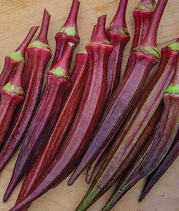 KANAYA Lal Bhindi Red Okra Lady Finger Vegetable Seed Price in India ...