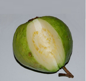 GOROOT Guava, Amrood, Amrud, Psidium, Guajava Seed Price in India - Buy ...