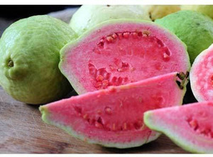 Green Era Guava Plant Price in India - Buy Green Era Guava Plant online ...