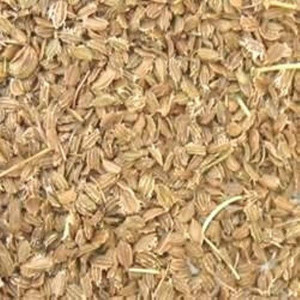 Xetomos Organic Gajar Carrot Daucus Carota Seeds 250g seeds Seed Price ...