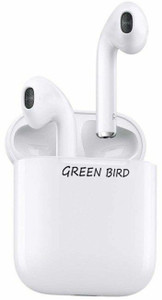 GREEN BIRD in-Ear Truly Wireless Earbuds with Fast Charging,Type- Data ...