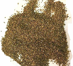 Xetomos Cuscuta reflexa Seed Nirmuli Amar bel 100g seeds Seed Price in ...