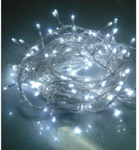 Ascension 24 LEDs 4 m White Steady String Rice Lights Price in India ...