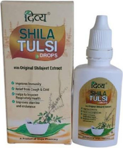 DIVYA SHILA TULSI Price in India - Buy DIVYA SHILA TULSI online at ...