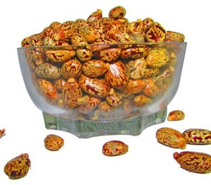 apna arandi seeds Seed Price in India - Buy apna arandi seeds Seed ...