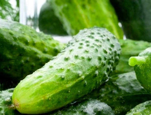 Cera Wares Cucumber Seed Price in India - Buy Cera Wares Cucumber Seed ...