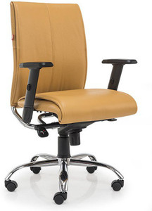 Durian Durian Ebro Medium Back Leather Office Executive Chair Price in ...