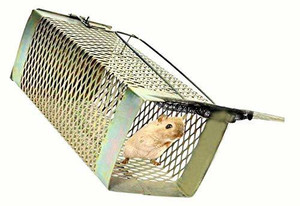 Diktmark Rat, Rodent, Mouse Trap/Catcher Iron Big Size Live Trap Price ...