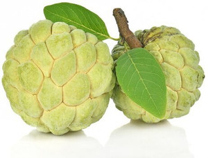 Paudha Custard Apple Seed Price in India - Buy Paudha Custard Apple ...