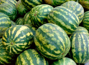 XOLDA Watermelon Hybrid Seed Price in India - Buy XOLDA Watermelon ...
