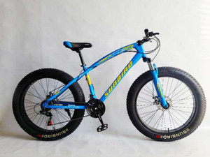 SUNBIRD BULL BY NEELAM CYCLES|FAT BIKE|21 GEAR|DISC BRAKES|FRONT ...