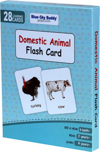 Blue-Sky Buddy Flash Cards for Kids Early Learning | Picture and ...