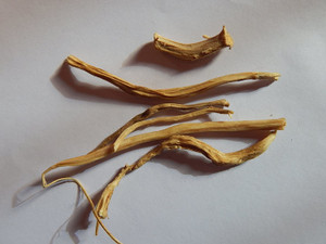 Xetomos Satabari Shatavari of 1pkt For Puja seeds Seed Price in India ...