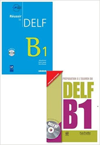 Delf B1 Livre + Cd Audio (Didier+Hachette): Buy Delf B1 Livre + Cd ...