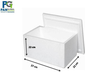 Pan Global 5 L Plastic Thermocol Ice Bucket Price in India - Buy Pan ...