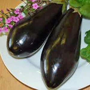 Decon Bengan Seed Price in India - Buy Decon Bengan Seed online at ...