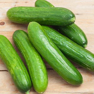 Cera Wares Cucumber Seed Price in India - Buy Cera Wares Cucumber Seed ...