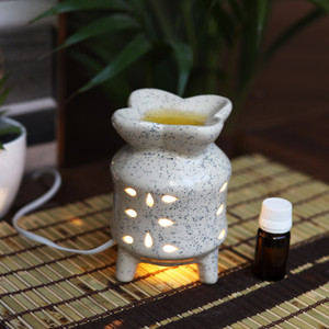Jimkia Diffuser Set Ceramic Electric Diffuser Shiny Angithi Oil Burner ...