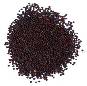 Nutiva Organics BLACK MUSTARD | SARSO KALI | MOHARI | SARSON KAALI ...